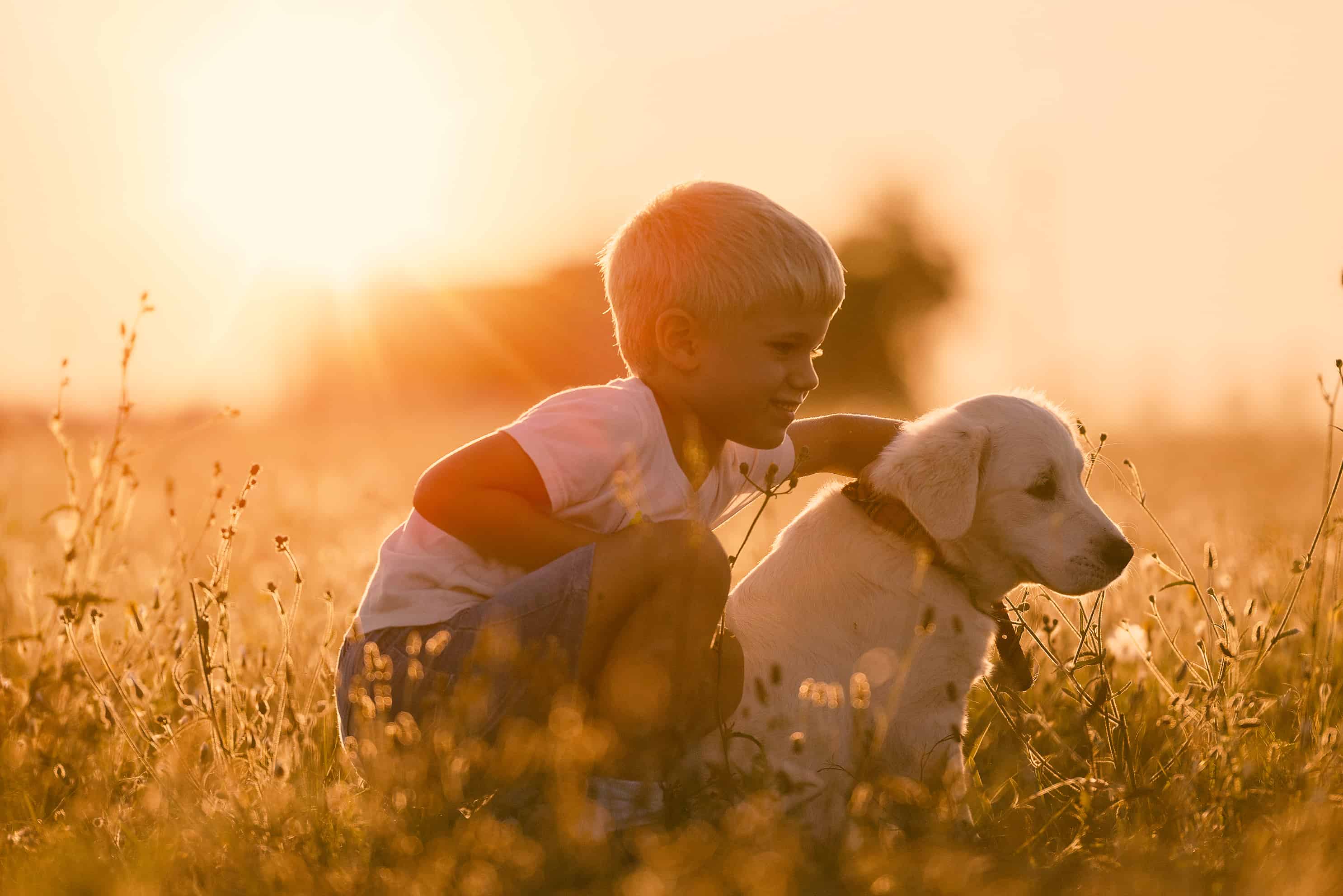 Dogs and Children - Love Parenting